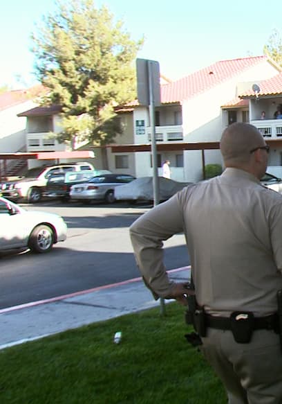 Watch Cops S23:E09 - Tree Hugging - Free TV Shows | Tubi