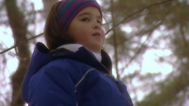 Watch Real Kids, Real Adventures S01:E01 - Runaway Balloon - Free TV ...