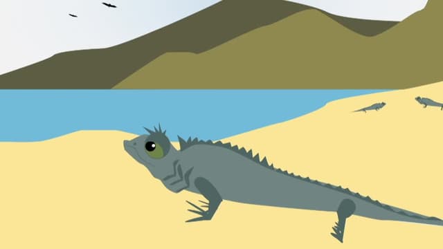 Watch Zoomix - Free TV Shows | Tubi