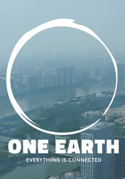Watch One Earth: Everything Is Connected (2021) - Free Movies | Tubi