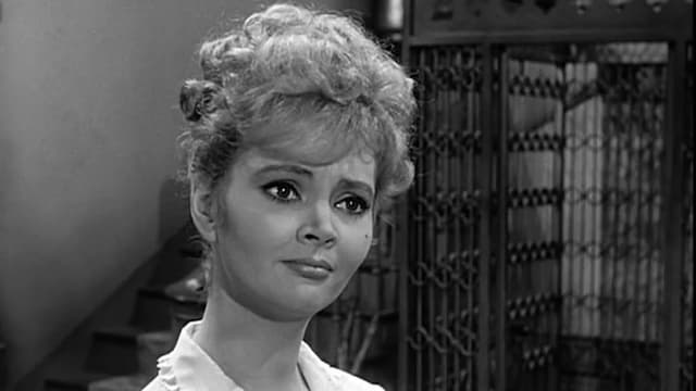 Watch Petticoat Junction S01:E28 - The Hooterville Flivverball - Free ...
