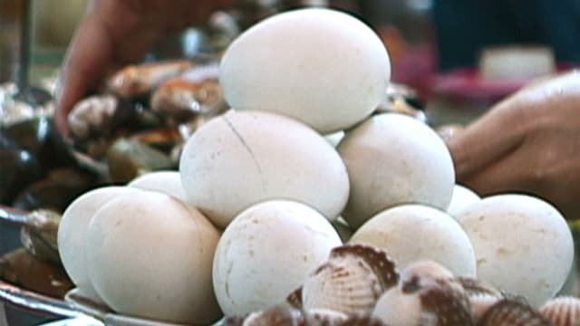 Watch Anthony Bourdain: A Cook's Tour S01:E03 - Cobra Heart-Food That ...