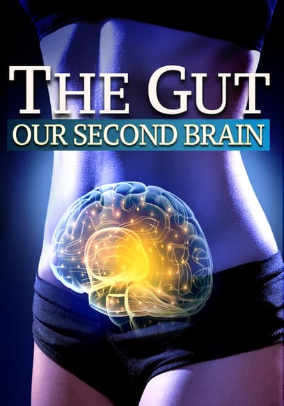 Watch The Gut Our Second Brain 2014 Free Movies Tubi