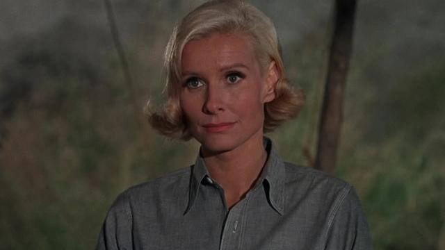 Watch Daktari S01:E06 - Leopards of Mdala Gorge - Free TV Shows | Tubi