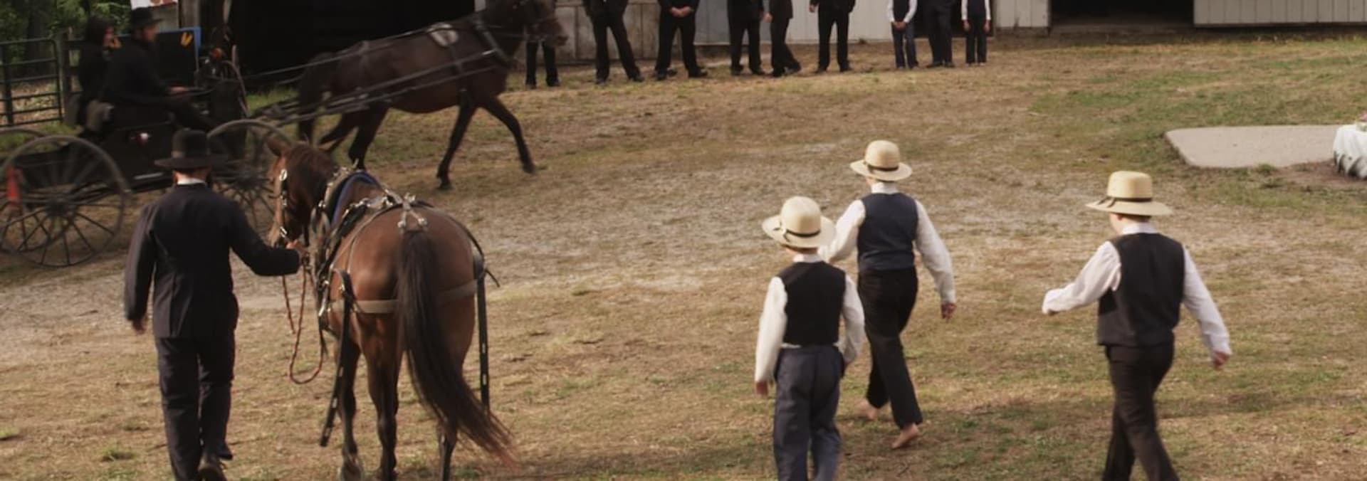 Watch The Amish and the Reformation (2017) - Free Movies | Tubi