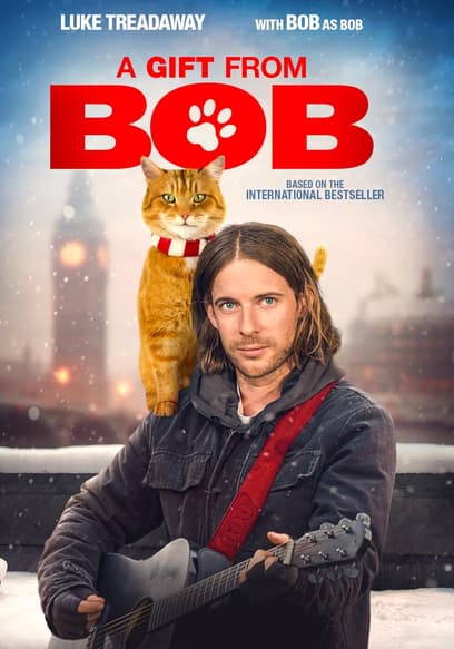 Watch A Gift From Bob (2020) - Free Movies | Tubi