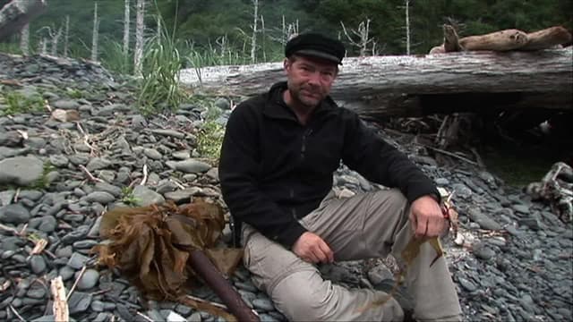 Watch Survivorman S02:E02 - Alaska - Free TV Shows | Tubi