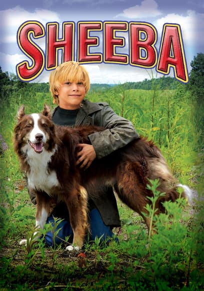 Watch Sheeba 2005 Free Movies Tubi