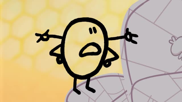 Watch Lloyd of the Flies Presents: Adventures of Arachnofly - Free TV ...