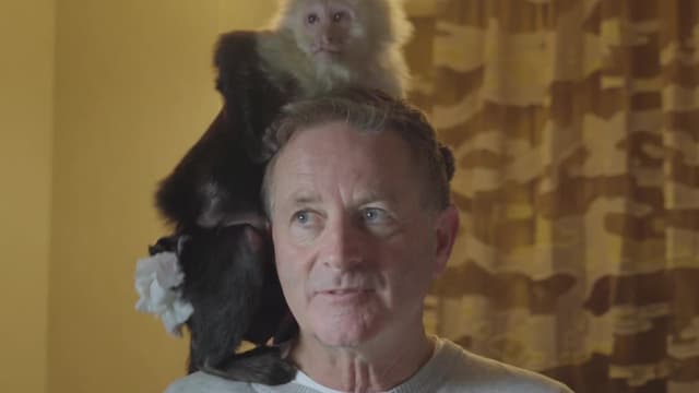 Watch Predator Pets - Free TV Shows | Tubi