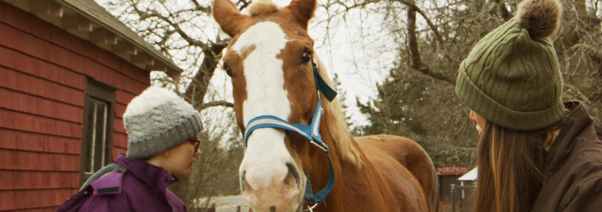Watch December Horses (2023) - Free Movies | Tubi