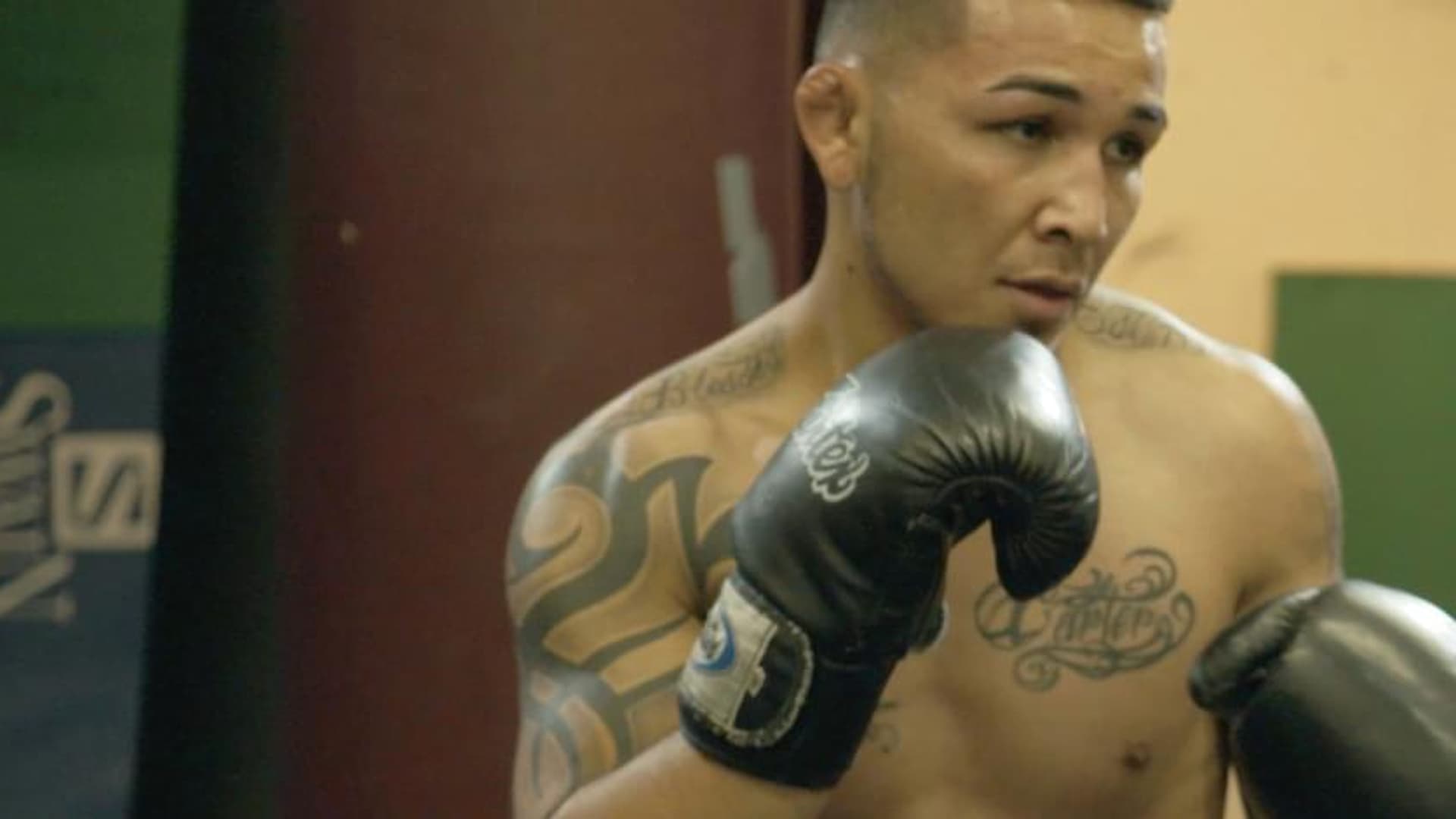 Watch Ring of Champions - Free TV Shows | Tubi