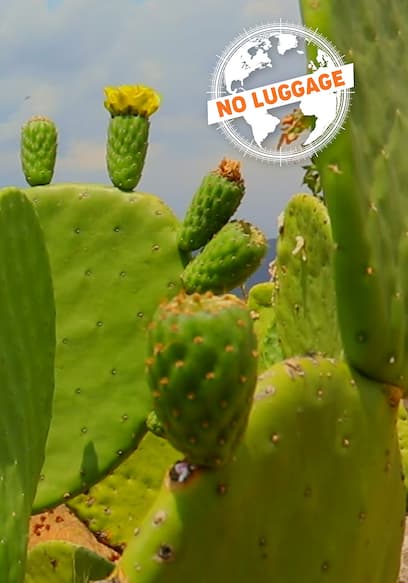 Watch No Luggage S01:E09 - Land of Cacti - Free TV Shows | Tubi