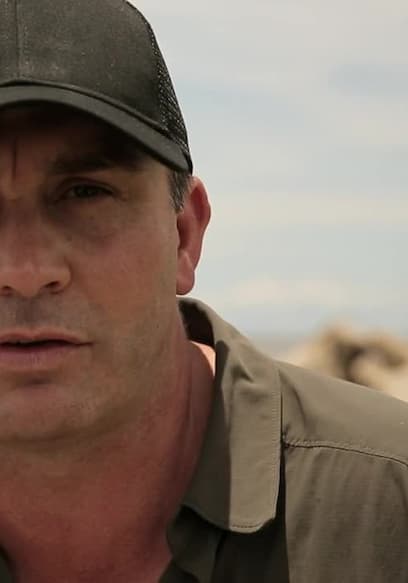 Watch Chasing Monsters S02:E02 - Swarming Sharks - Free TV Shows | Tubi