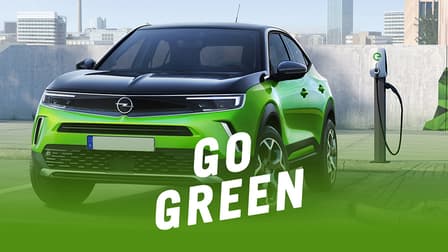 Watch Go Green - Free TV Shows | Tubi