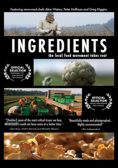 Watch Ingredients (2009) - Free Movies | Tubi