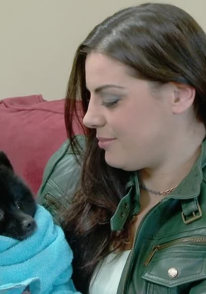 Watch My Tiny Terror S01:E02 - Pint-Sized Monster - Free TV Shows | Tubi