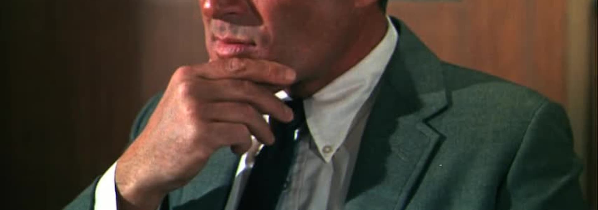 Watch The FBI S01:E25 - The Divided Man - Free TV Shows | Tubi