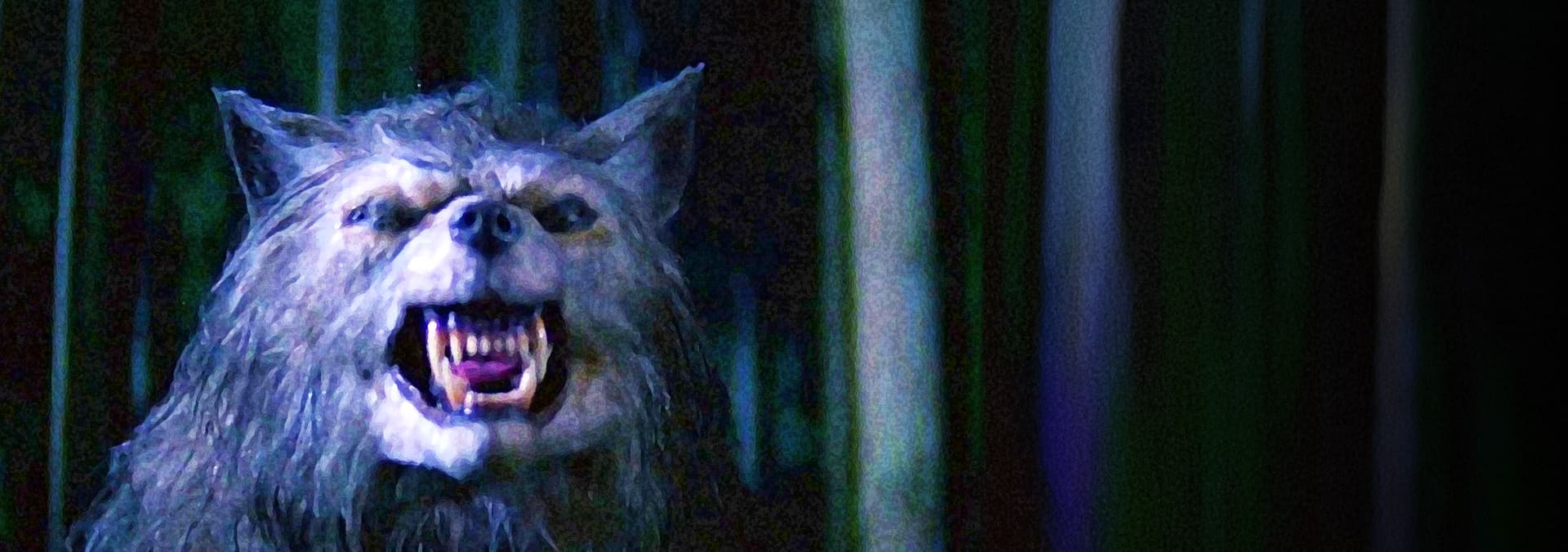 Watch Bad Moon (1996) - Free Movies | Tubi