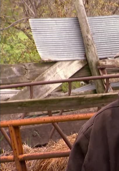 Watch American Pickers S01:E04 - Invisible Pump - Free TV Shows | Tubi