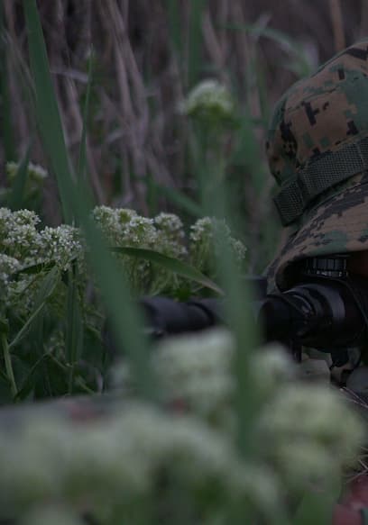 Watch Dragon Soldiers Trailer (2020) - Free Movies | Tubi