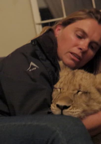 Watch The Lion Queen S02:E01 - Mela: Gathering - Free TV Shows | Tubi