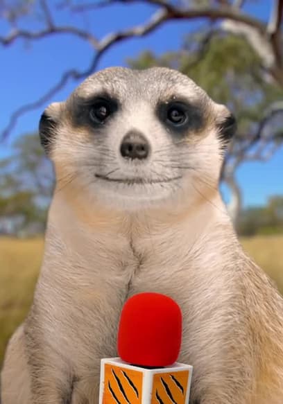 Watch Bad Nature S01:E103 - Hippo Poo & Scorpion Tail - Free TV Shows ...