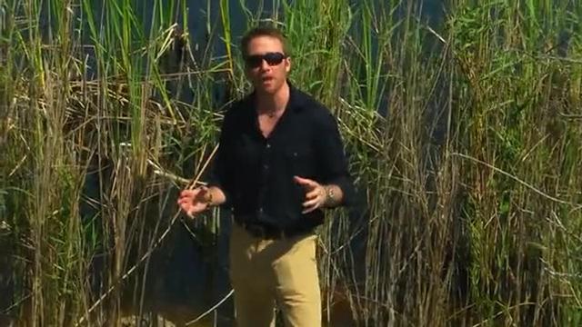 Watch Xploration Awesome Planet S01:E03 - Ecosystems - Free TV Shows | Tubi