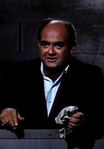 Watch My Favorite Martian S03:E22 - Butterball - Free TV Shows | Tubi