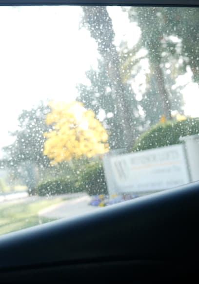 Watch Get Back S01:E01 - Victim - Free TV Shows | Tubi