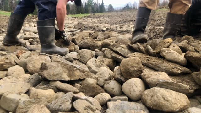 Watch Kings of Kush S01:E02 - This Farm Grows Rocks - Free TV Shows | Tubi