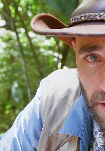 Watch Brave Wilderness S08:E14 - Stung by an Executi - Free TV Shows | Tubi