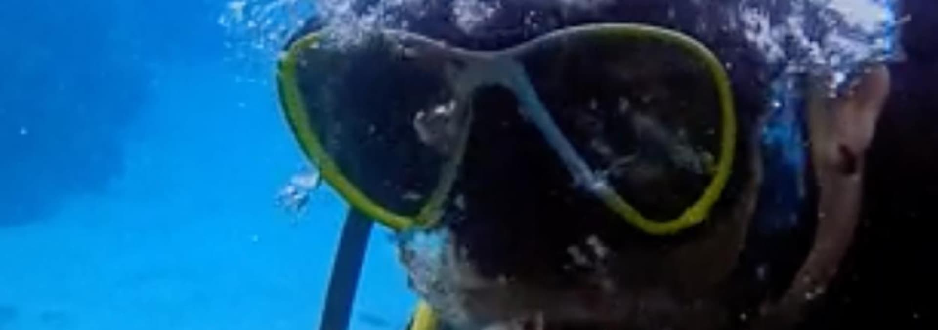 Watch Sisid (2022) - Free Movies | Tubi