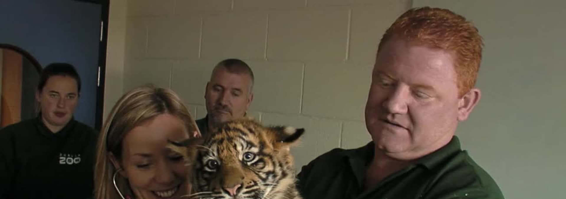 Watch The Zoo S01:E05 - Episode 5 - Free TV Shows | Tubi