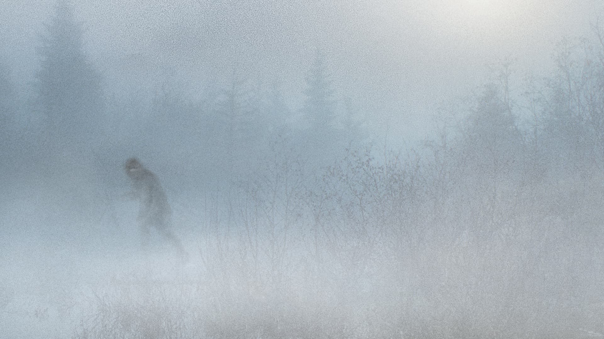 Watch MonsterQuest S02:E07 - Black Beast of Exmoor - Free TV Shows | Tubi