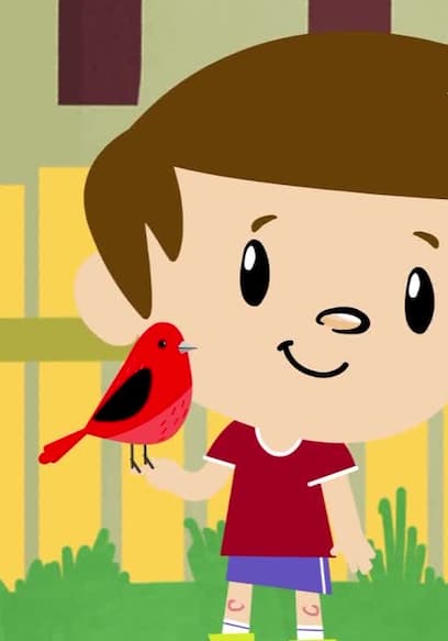 Watch Albert & Junior S01:E01 - Learn About Birds - Free TV Shows | Tubi
