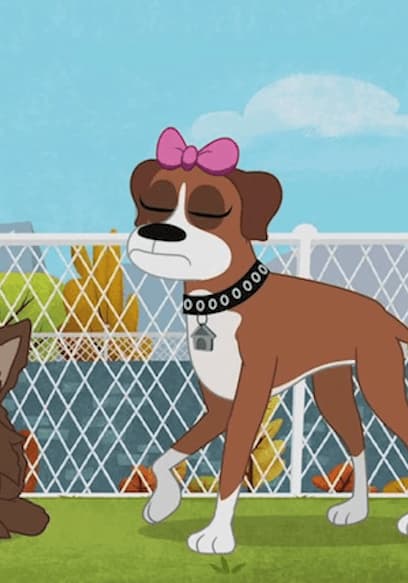 Watch Pound Puppies S01:E12 - Rebel Without A Collar - Free TV Shows | Tubi