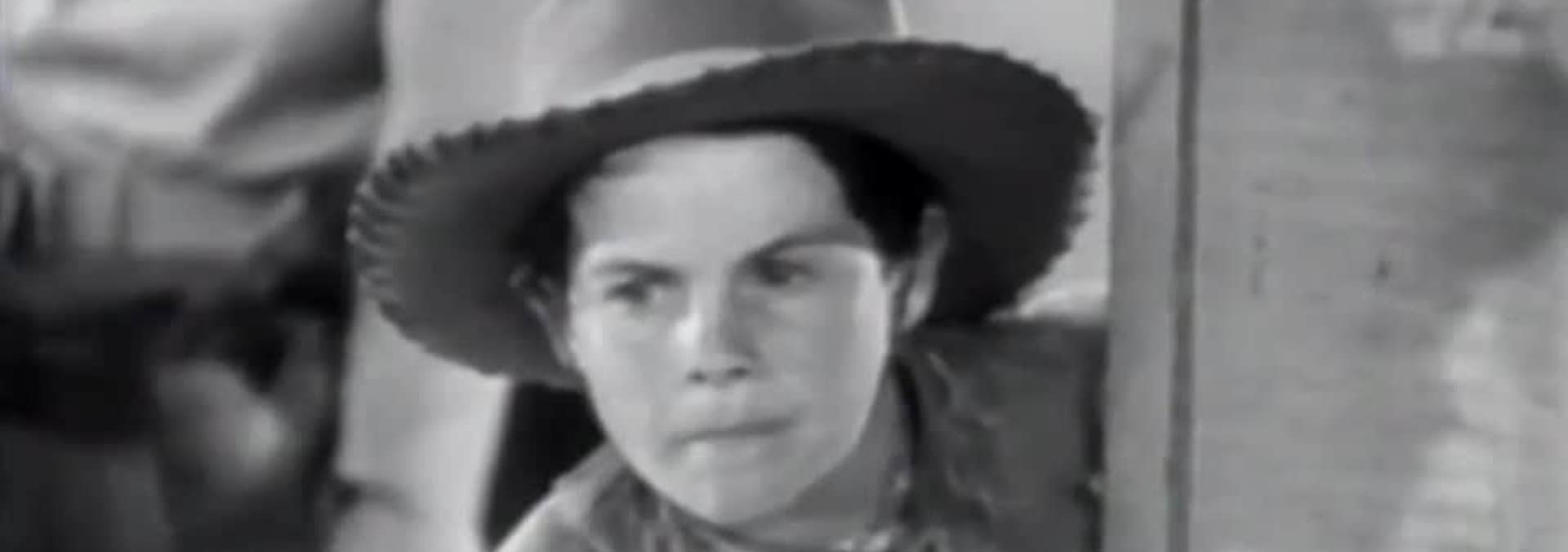 Watch The Painted Stallion S01:E07 - Trail Treachery - Free TV Shows | Tubi