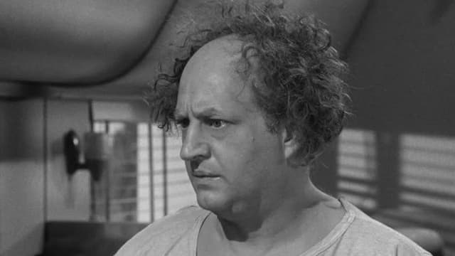 Watch The Three Stooges+ Comedy Gold Standard S04:E46 - Cuckoo on a ...