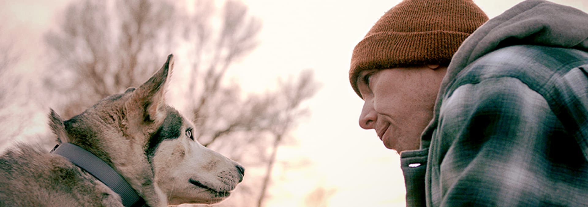 Watch The Year of the Dog (2022) - Free Movies | Tubi