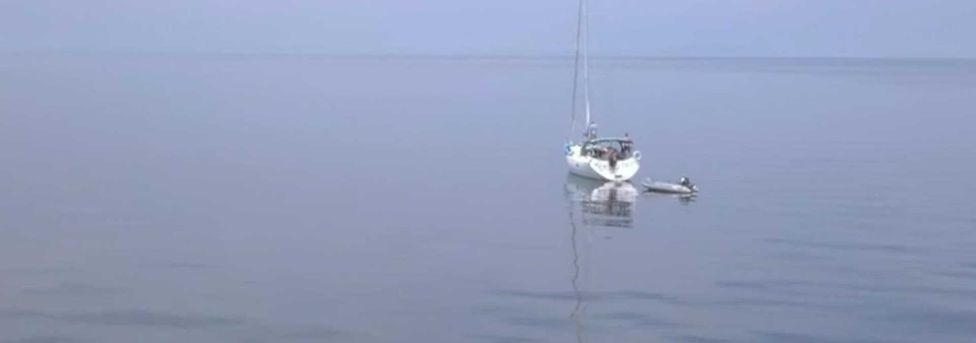 Watch Mancation (2020) - Free Movies | Tubi