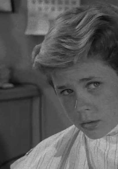 Watch Leave It to Beaver S01:E06 - Brotherly Love - Free TV Shows | Tubi