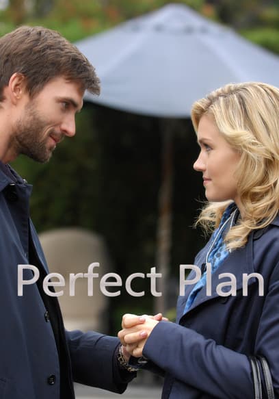 Watch Perfect Plan (2009) - Free Movies | Tubi
