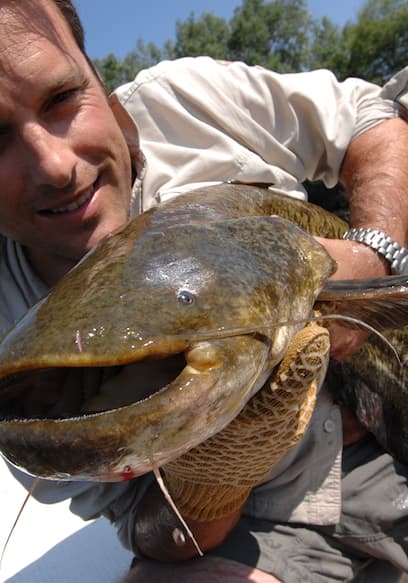 Watch Nick Baker’s Weird Creatures S02:E06 - The Frankenstein Fish ...