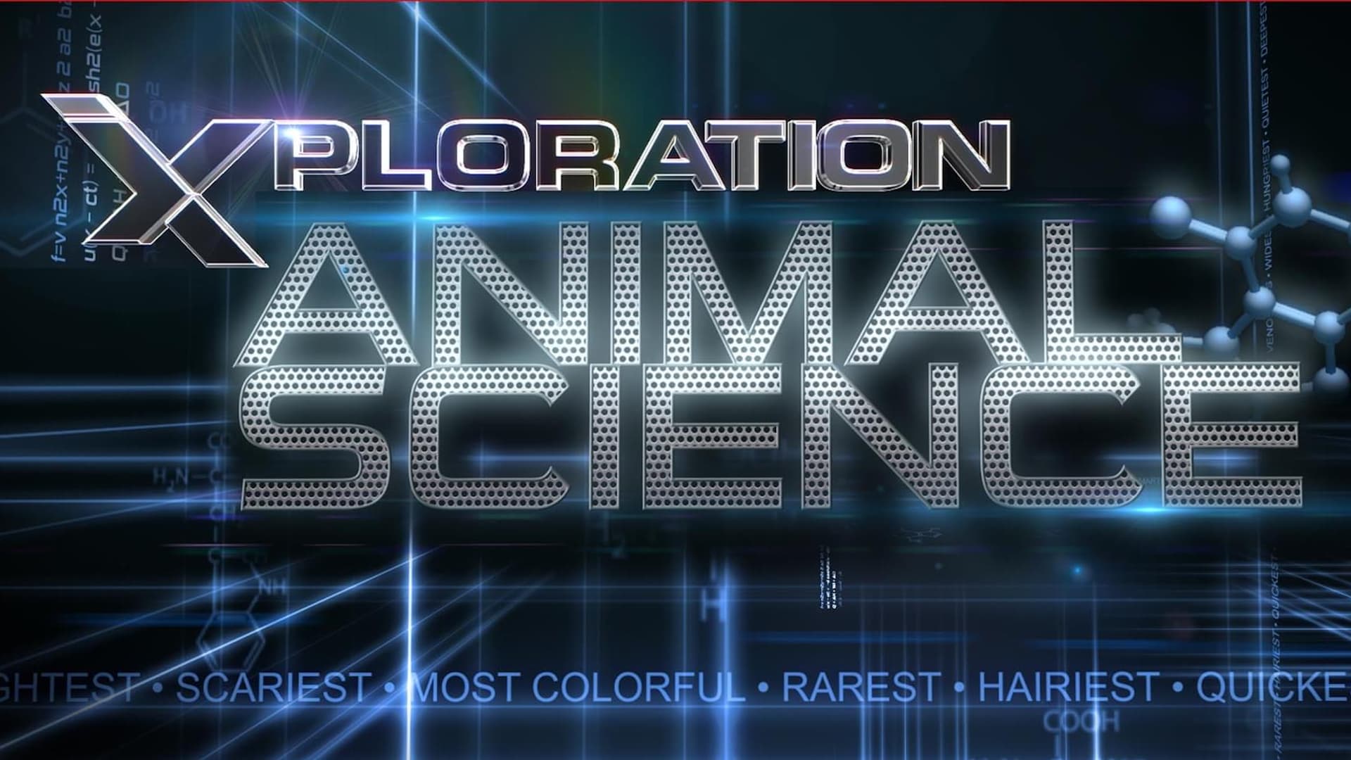 Watch Xploration Animal Science Season 2 - Free TV Shows | Tubi