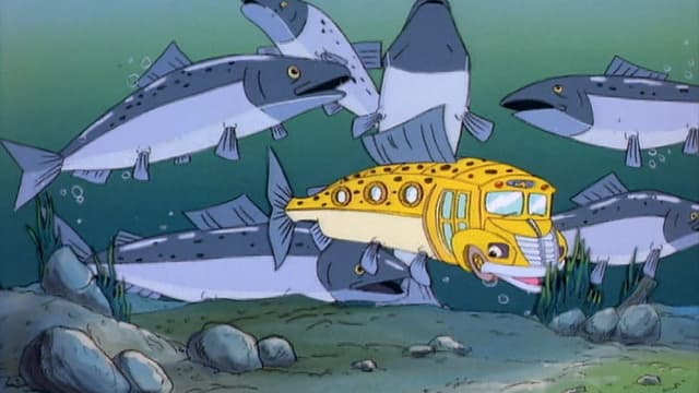 Watch The Magic School Bus S03:E08 - Goes Upstream - Free TV Shows | Tubi
