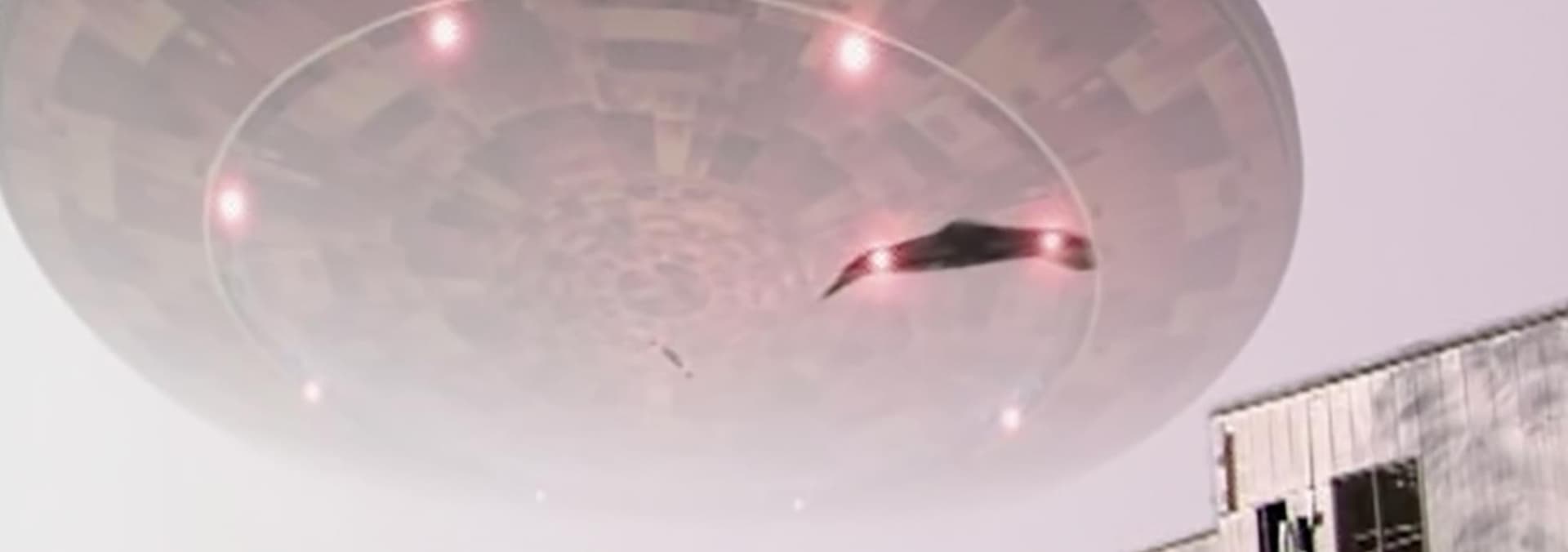 Watch Alien Species (1996) - Free Movies | Tubi