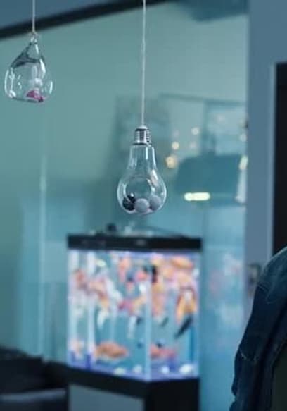 Watch Three-Body S01:E13 - EP 13 - Free TV Shows | Tubi