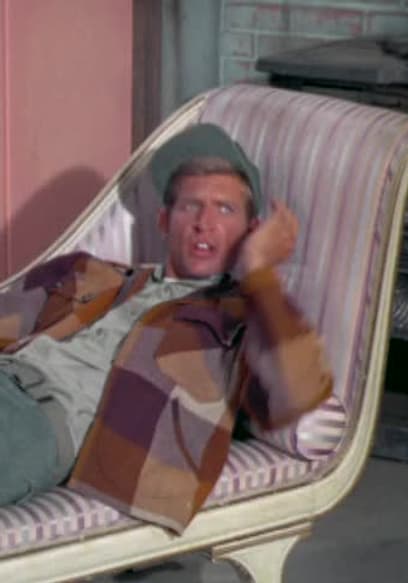 Watch Green Acres S02:E08 - Eb Discovers the Birds and the Bees - Free ...