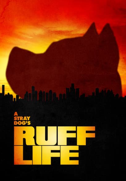 Watch Ruff Life (2021) - Free Movies | Tubi